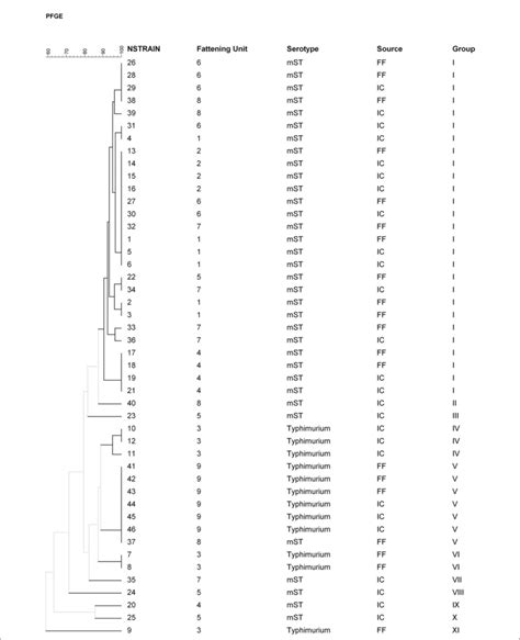 Figure Dendrogram Showing The Main Xbai Pulsed Field Gel Download
