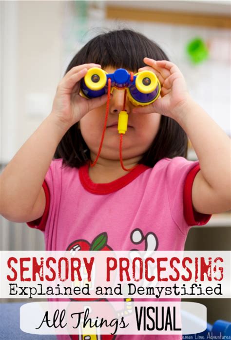 visual system sensory processing explained