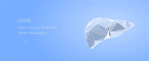 간 기관 낮은 폴리 와이어 프레임 스타일 의학 기술 파란색 배경에 격리된 추상 그림입니다 입자는 기하학적 실루엣으로 연결됩니다 간 내부 기관에 대한 스톡 벡터 아트 및 기타