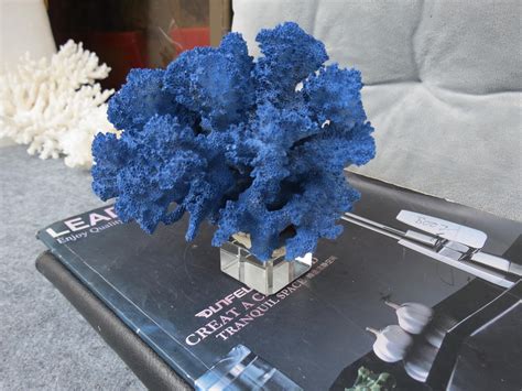 Real Blue Coral Decor Coral With Crystal Base Beautiful Natural Coral