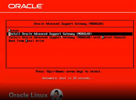 a step by step guide to install oracle platinum service advanced