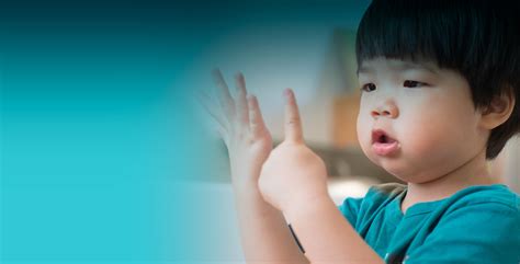 Bd Biosciences Flow Cytometry Instruments And Reagents