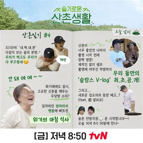 Instagram 레이아웃 교과서 디자인