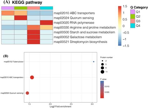 The Kegg Enriched And Down Regulated Pathways A The Heatmap Of Kegg