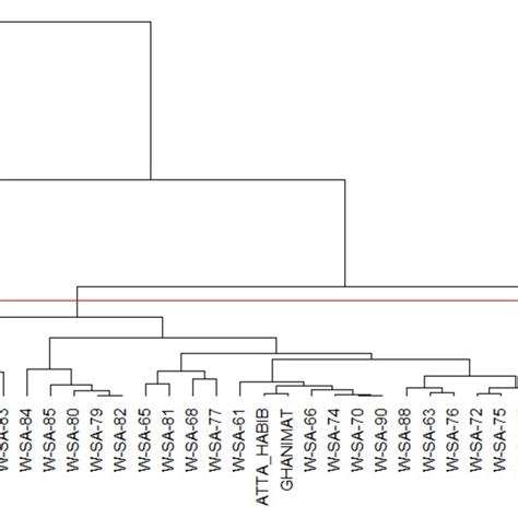 Dendrogram For Exotic Wheat Lines Made Through Cluster Analyses On