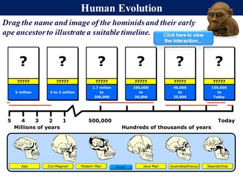 Bio613 Speciation And Fossil Record Teaching Resources Bio613 Speciation And Fossil Record Teaching Resources