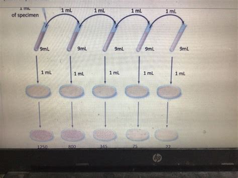 solved iml of specimen 9ml 1 ml 1250 1 ml 9ml 1 ml 800 1 ml