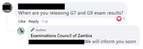Ecz E Statement Of Results 2024 Zambia P N G Insight
