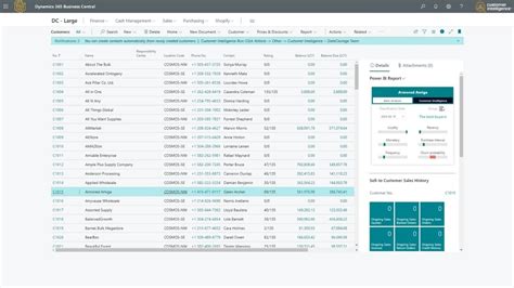 Power Bi The Ultimate Business Central Companion