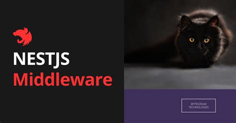 Nestjs Middleware Everything You Need To Know