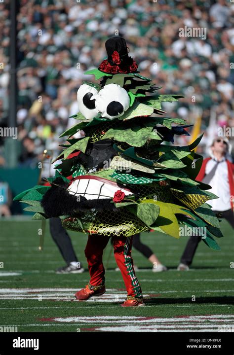 Stanford Cardinal Tree