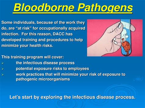 Ppt Bloodborne Pathogens Powerpoint Presentation Free Download Id