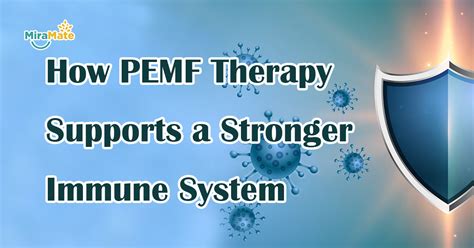 How Pemf Therapy Supports A Stronger Immune System Miramate