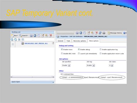 Ppt Sap Xbp 3 0 Exploitation Powerpoint Presentation Free Download Id 5361761