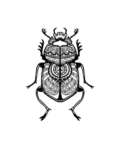 Scarab Beetle Sketch With Ornate Tangle Pattern Stock Vector Illustration Of Mythology Scarab