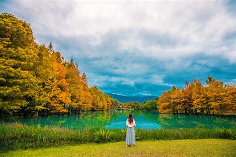 花蓮景點 》雲山水夢幻湖｜落羽松森林、夢幻湖、跳石瀑布，花蓮最美景點無誤！ 大手牽小手。玩樂趣