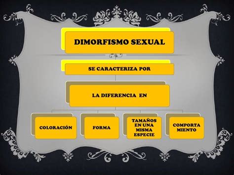 Dimorfismo Sexual Terminado