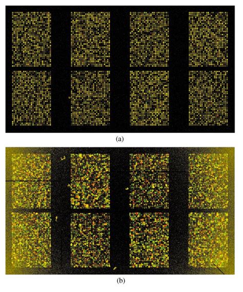 Simulation Of Cdna Microarrays Via A Parameterized Random Signal Model