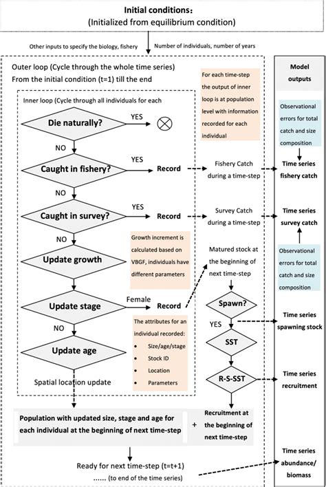 Schematic Diagram Of The Individual Based Probabilistic Model Download Scientific Diagram