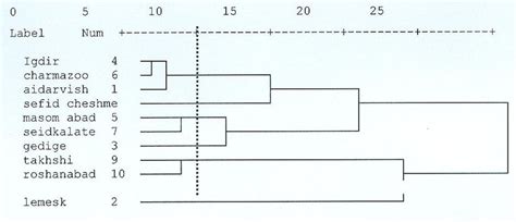 Dendrogram For Grouping Ten Ziziphus Ecotypes Of Golestan Province