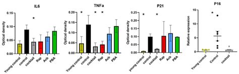 Researchers Show Cognitive Boosting Cocktail Reduces Brain Senescence
