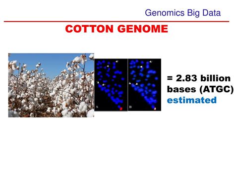 Ppt Big Data Challenges In Genomics Powerpoint Presentation Free Download Id 1605330