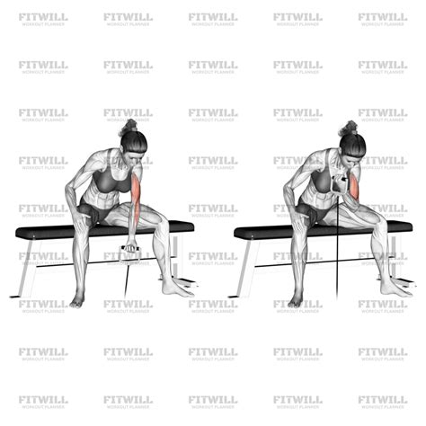 Cable Seated One Arm Concentration Curl Exercise Guide Techniques Benefits How To Muscles