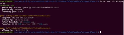 Home Vpn Using Wireguard Docker On A Raspberry Pi 4 Episode 28