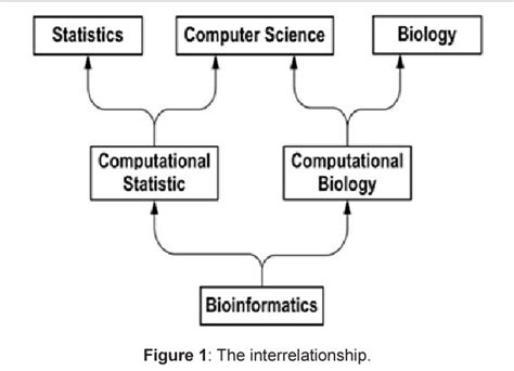 Figure 1 From Statistics And Bioinformatics Ethnicity Semantic Scholar