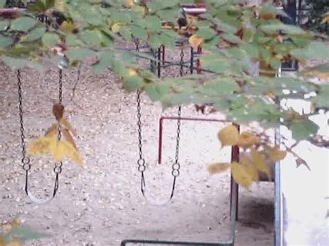 아는사람만 안다는 놀이터 ㅗㅜㅑ 유머 움짤 이슈 에펨코리아