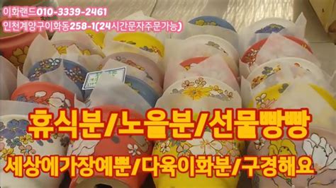 특집휴식분노을분신상화분 다남다육010 3339 2461 Youtube