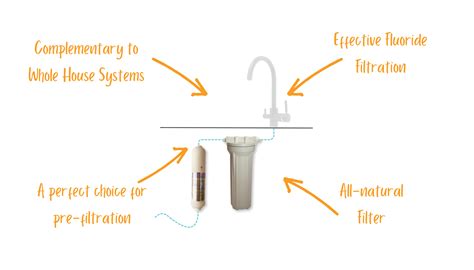 Fluoride Free Filter System Ionza