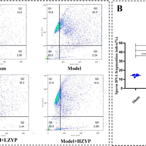 Effect Of Zyp On Epididymis Sperm Dfi A Representative Graph Of Download Scientific Diagram