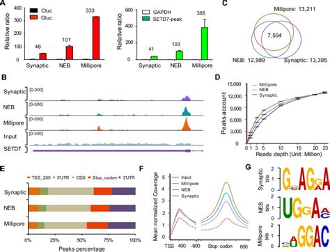 Refined Rip Seq Protocol For Epitranscriptome Analysis With Low Input Materials Abstract