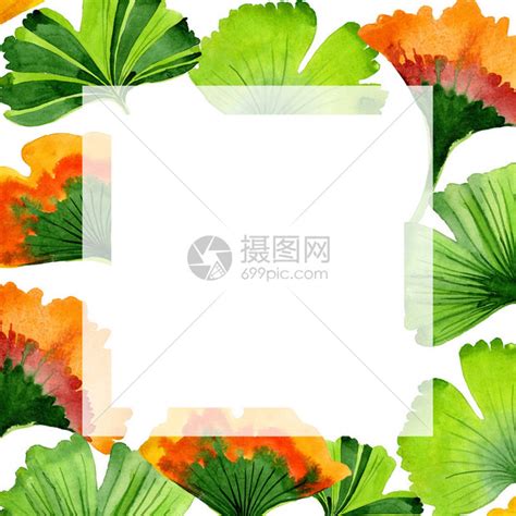 五颜六色的叶子银杏叶植物园花卉叶子框架边框装饰广场背景纹理包装图案框架或边高清图片下载 正版图片507456664 摄图网