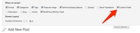 An Introduction To Wordpress Custom Fields