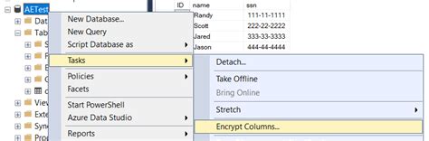 Enabling Sql Server Always Encrypted Sql Solutions Group