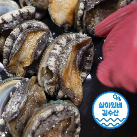 완도 활전복 1kg 중소 25미 39900원 서울특별시 성북구 하월곡동 비즈프로필