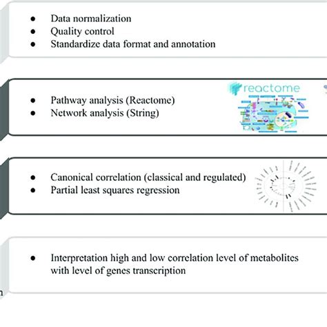 The Workflow Of Lipidomics Metabolomics And Transcriptomics Data Download Scientific Diagram