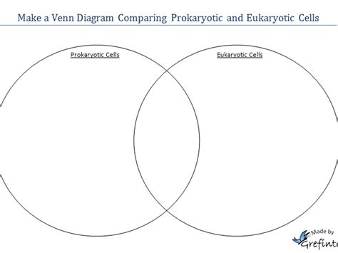 Template For A Venn Diagram Comparing Prokaryotic And Eukaryotic Cells Teaching Resources
