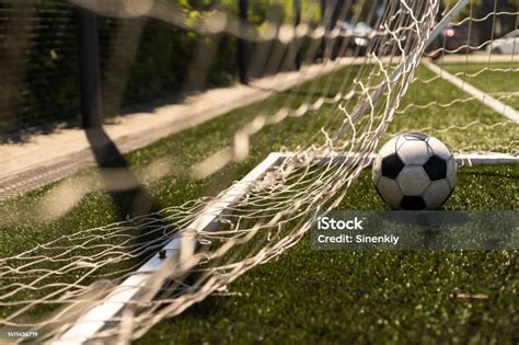 녹색 잔디와 경기장 배경에 흰색과 검은 색 축구 공 스포츠 베팅 아이디어 0명에 대한 스톡 사진 및 기타 이미지 0명 가죽 게이트 Istock