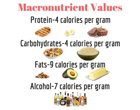 What Are Macros And Why Do They Matter Marc Z Fitness Nutrition
