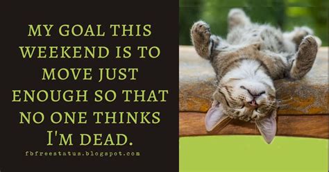 Quiet Weekend Memes 40 Of The Wittiest And Smartest Weekend Memes To