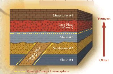 Superposition QUIZ TOMORROW FOR ADV Diagram Quizlet