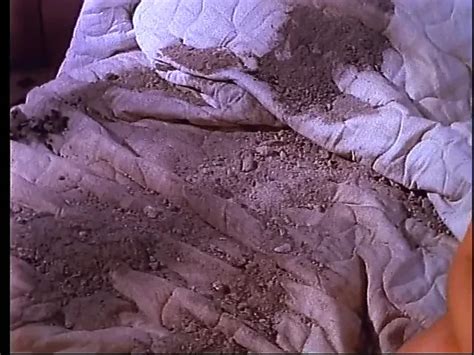 Alex Dane Porn Videos Porn Star Sex Scenes Xhamster