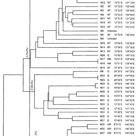 Upgma Dendrogram Obtained From A Similarity Matrix Of Jaccard Download Scientific Diagram