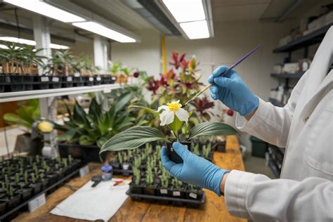 30 Facts About Hybridization