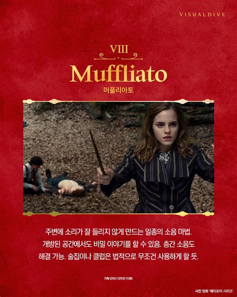 실제로 쓰고 싶은 해리포터 마법 주문 8 네이버 포스트