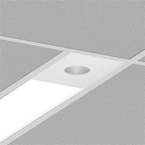Beam 4 Luminaires Speclight
