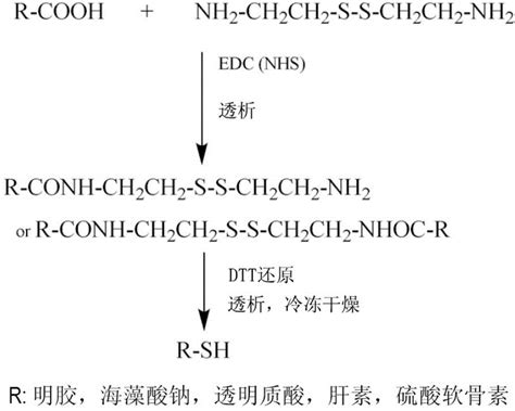 Imitated Extracellular Matrix Injectable In Situ Hydrogel And
